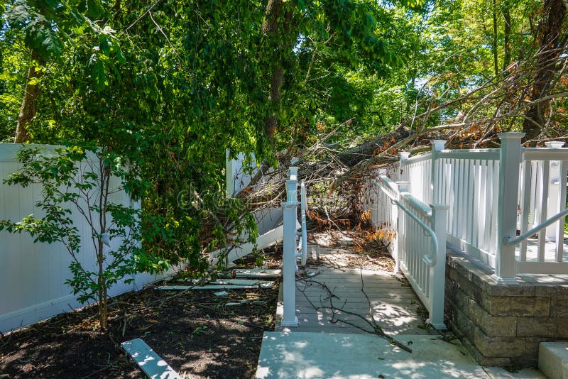 A Fallen Tree Causing Damage To a Fence, Ramp and Backyard Deck after a ...