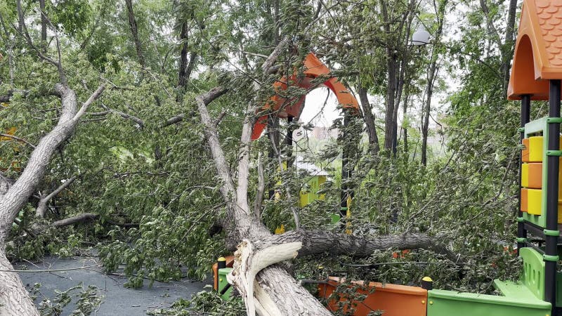 Fallen Tree on Children Playground after Strong Wind or Storm. Damaged ...