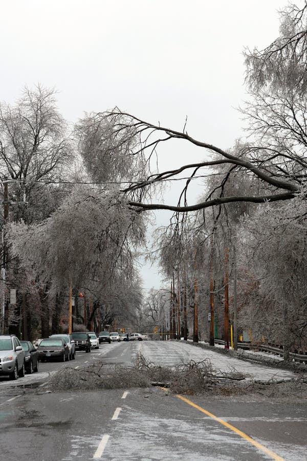 Ice storm, road closed stock photo. Image of urgent, warning - 7473864