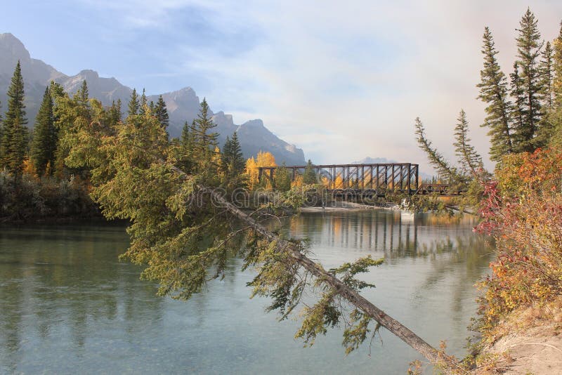 Fallen Tree in Front of Engine Bridge, Canmore, Alberta! Stock Image ...