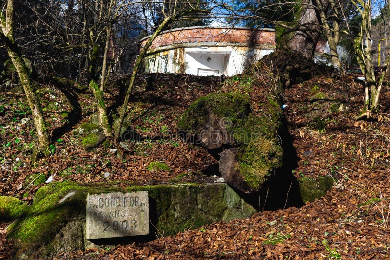 4,606 Tree Fallen House Photos - Free & Royalty-Free Stock Photos from ...