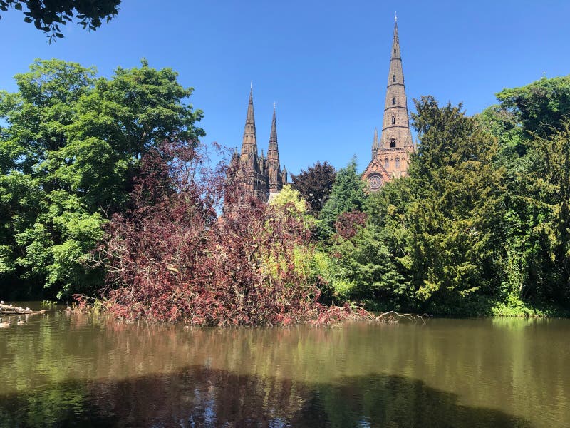 Fallen Tree in Minster Pool Lichfield Stock Photo - Image of grass ...