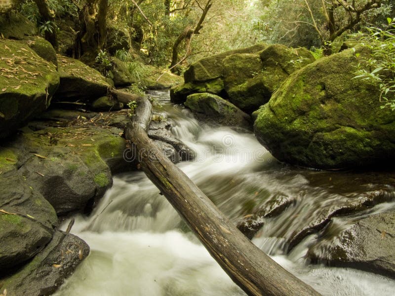 Fallen Tree Over Secluded Stream and Waterfall Stock Photo - Image of ...