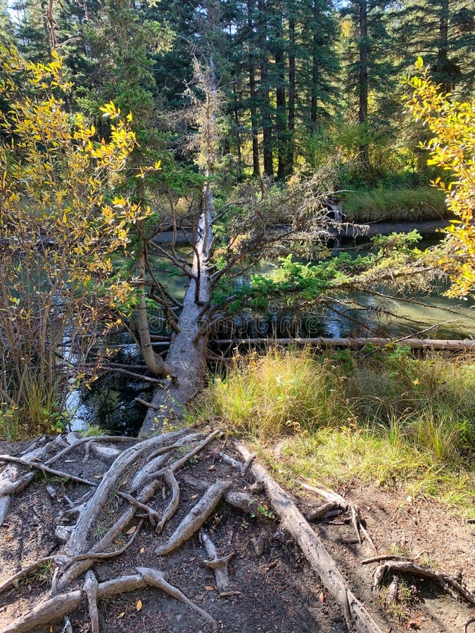 Fenland Loop Stock Photos - Free & Royalty-Free Stock Photos from ...