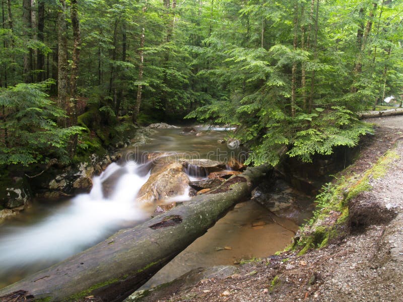 Fallen tree over stream stock photo. Image of speed, green - 62013890