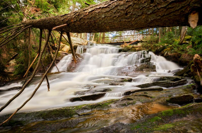 Fallen Tree Over a Waterfall Stock Photo - Image of potts, peaceful ...