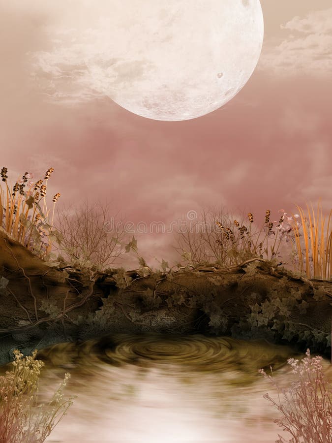 Pond and Moon at Night stock image. Image of tail, waterscape - 90178397