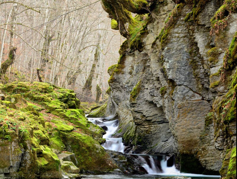 Fallen tree stock image. Image of water, waterfall, forgetten - 37119389