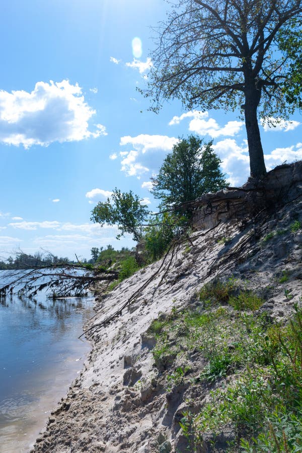 311 Sagging Tree Stock Photos - Free & Royalty-Free Stock Photos from ...