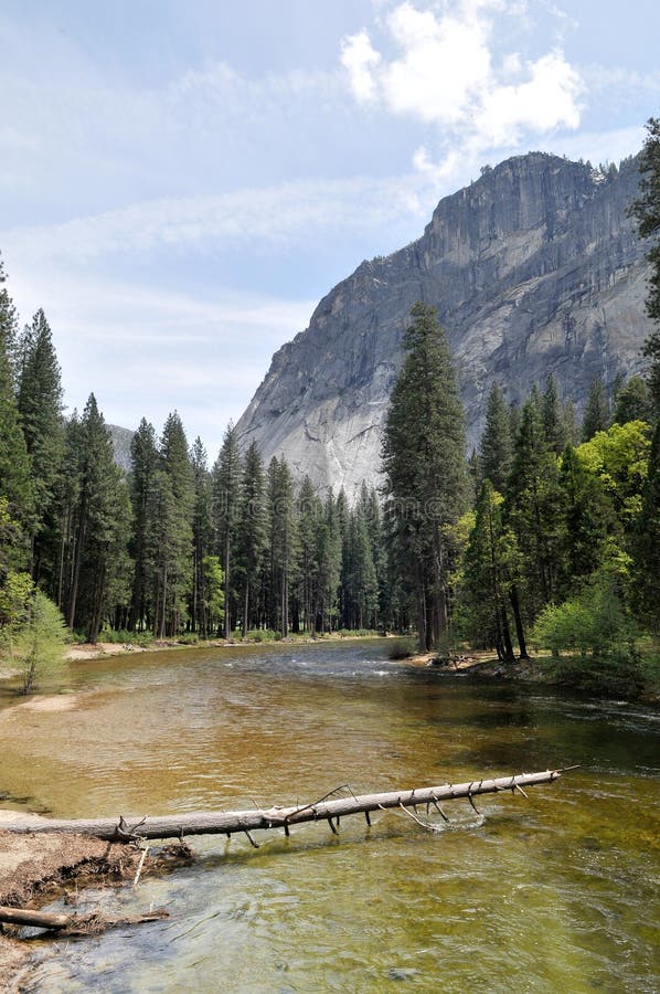 Fallen tree in river stock photo. Image of hiking, landscape - 59054444