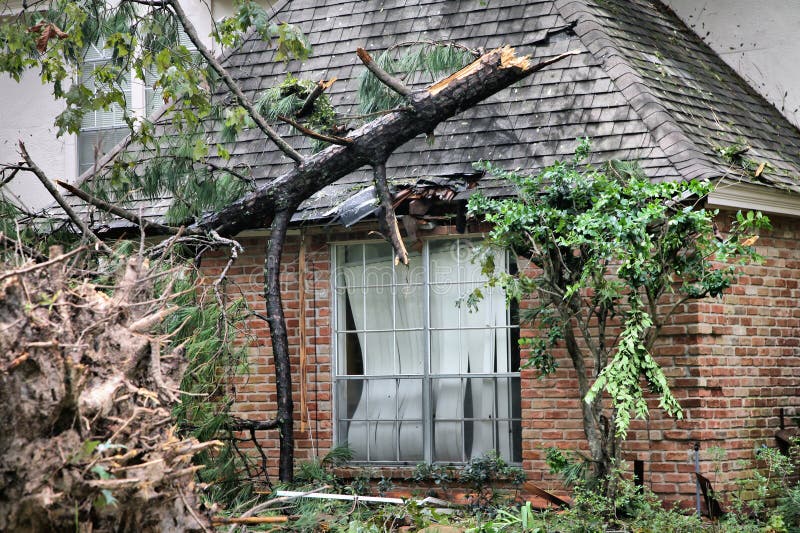 Fallen Tree Ruining Roof stock image. Image of house, window - 8681375