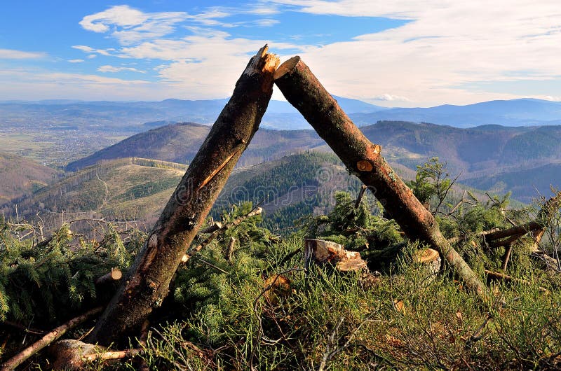 Fallen trees in mountains stock photo. Image of twig - 50710910