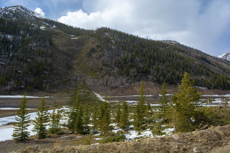 Fallen Trees and the Remains of a Mountain Avalanche Stock Photo ...