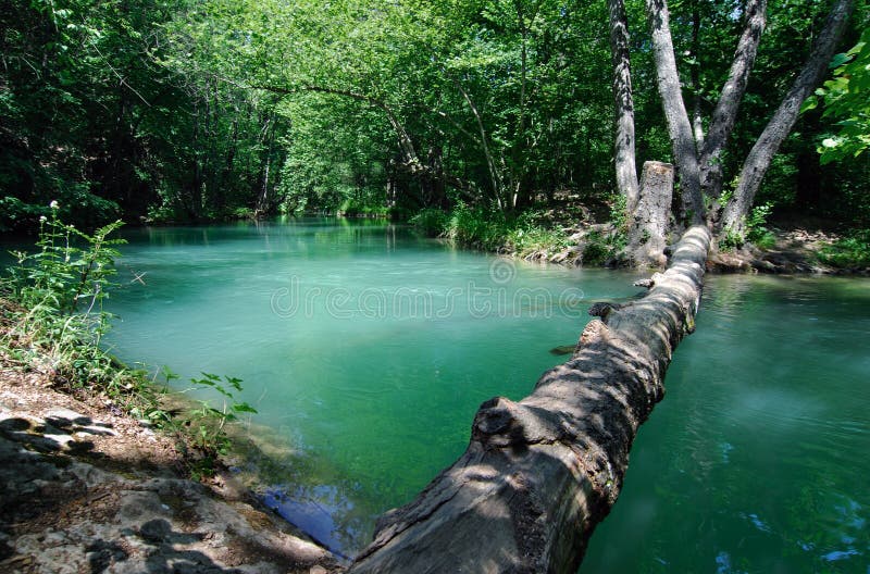 Fallen Wood Across the Forest River Stock Image - Image of surface ...