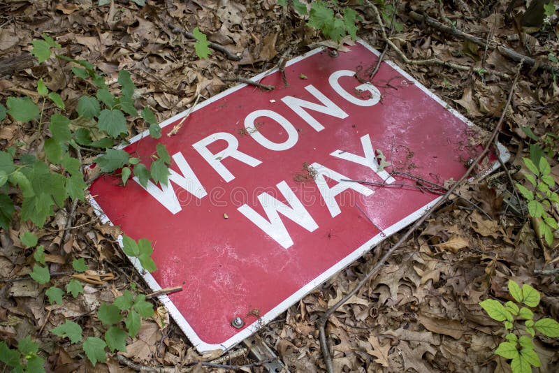 Wrong Way Red and White Street Sign Broken and on the Forest Ground ...