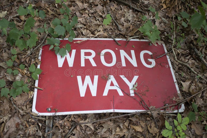 339 Broken Road Sign Ground Stock Photos - Free & Royalty-Free Stock ...