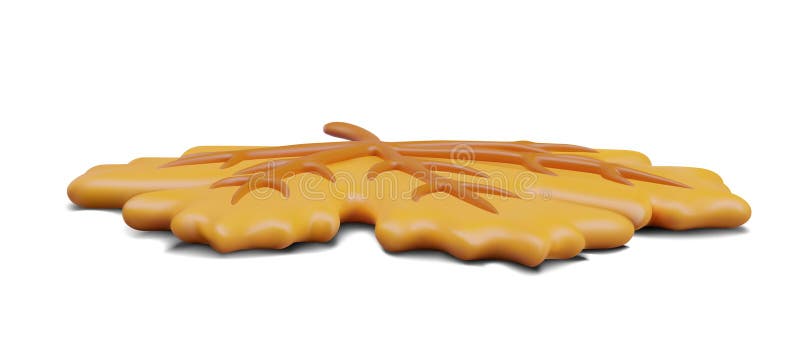 Fallen Yellow Autumn Leaf. Realistic Vector Object in Lying Position ...