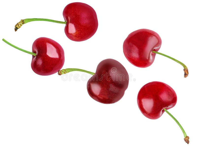 Fallimg Red Cherries Isolated on White. Flying Sweet Cherry. Explosion ...