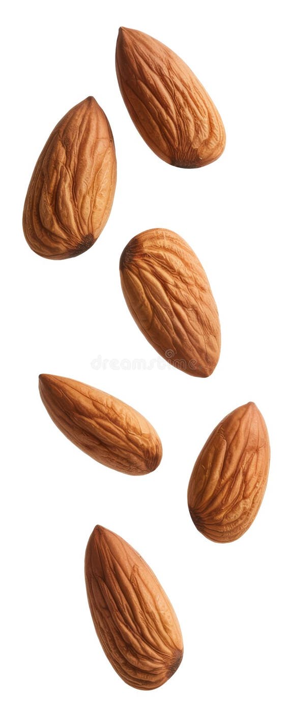 Falling Almonds Isolated on White Background Stock Illustration ...