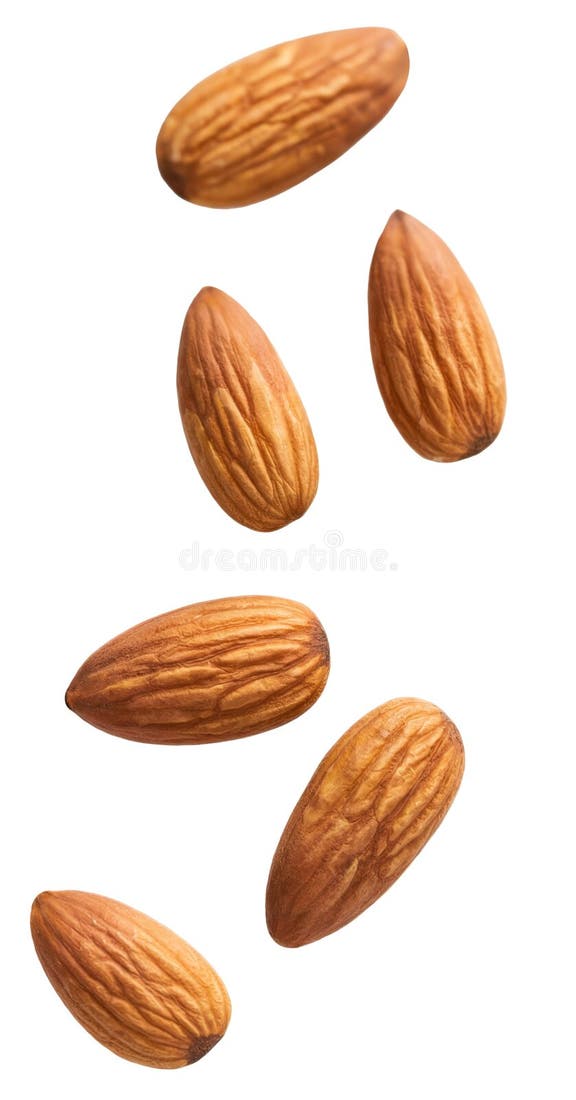 Falling Almonds Isolated on White Background Stock Illustration ...