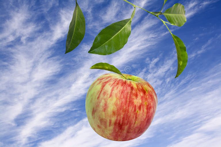 Falling apple stock photo. Image of closeup, close, cloud - 6529876