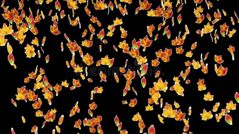 Falling Autumn Leaves Background Loop Stock Video - Video of transition, nature: 261024869