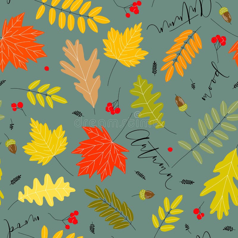Falling Autumn Leaves, Berries, Acorns and Thin Script Words Autumn ...