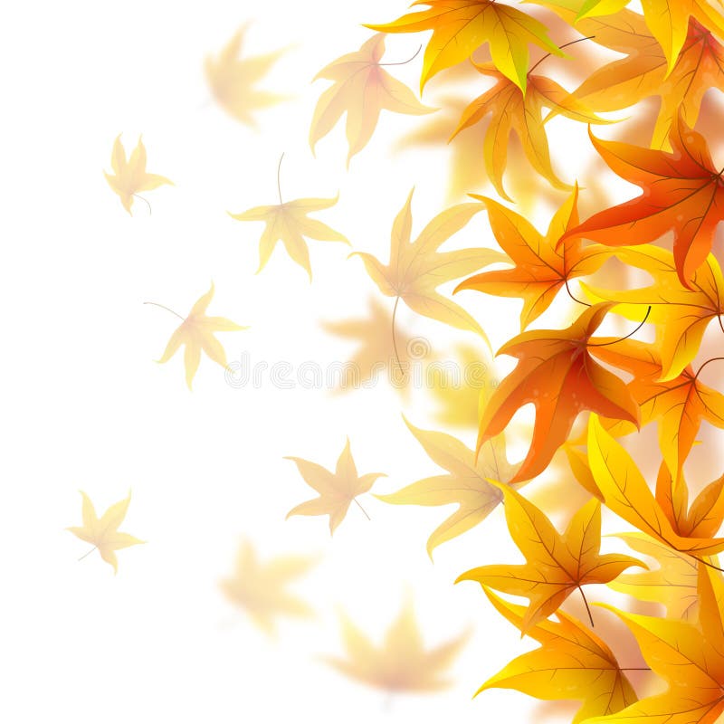 Falling autumn leaves stock vector. Illustration of leaves - 58411669