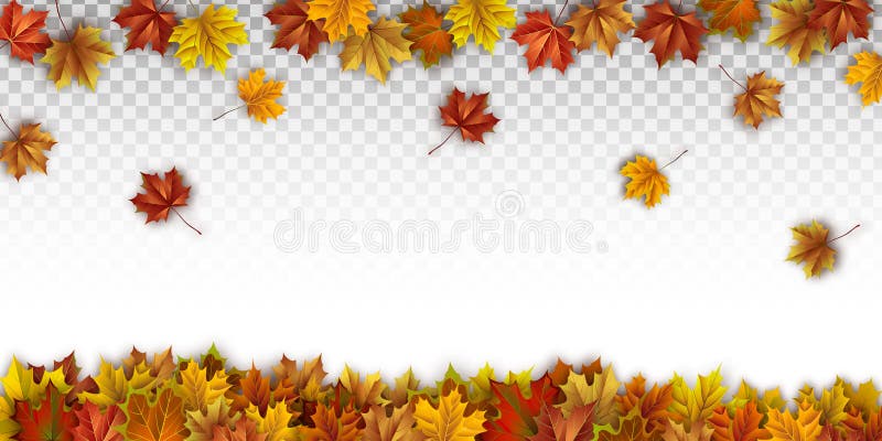 Falling Autumn Maple Leaves on Transparent Background. Seasonal Vector ...