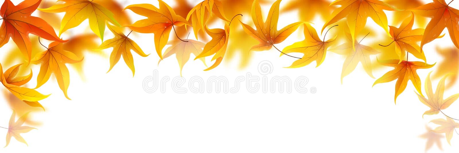 Falling Autumn Leaves stock image. Image of macro, foliage - 11181819