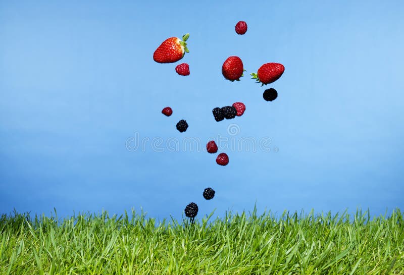 Falling berries stock photo. Image of food, strawberries - 7675866
