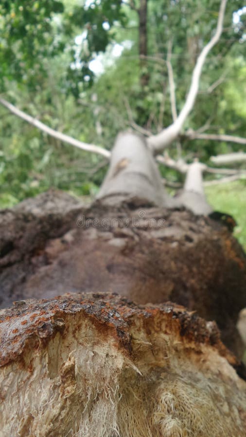 129 Big Strom Photos - Free & Royalty-Free Stock Photos from Dreamstime