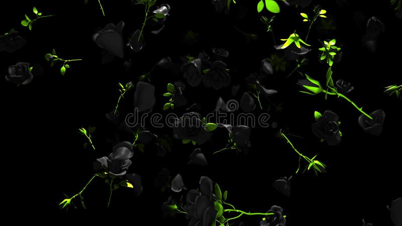 Falling Black Roses on Black Background Stock Footage - Video of dark ...