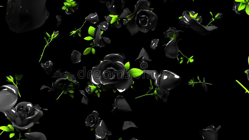 Falling Black Roses on Black Background Stock Video - Video of black ...