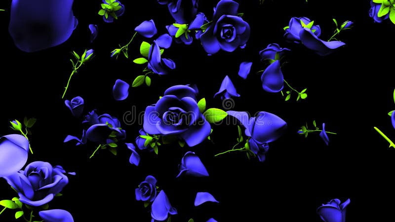 Falling Blue Roses on Black Background Stock Video - Video of black ...