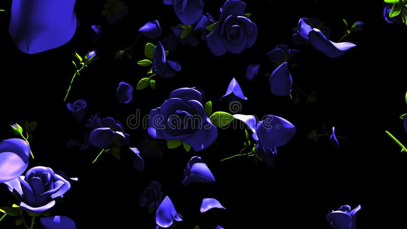 Falling Blue Roses on Black Background Stock Footage - Video of flower ...