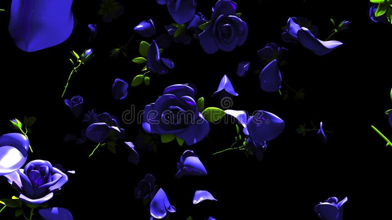 Falling Blue Roses on Black Background Stock Video - Video of ...