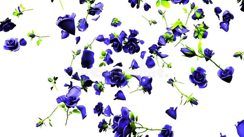 Falling Blue Roses on White Background Stock Video - Video of beautiful ...