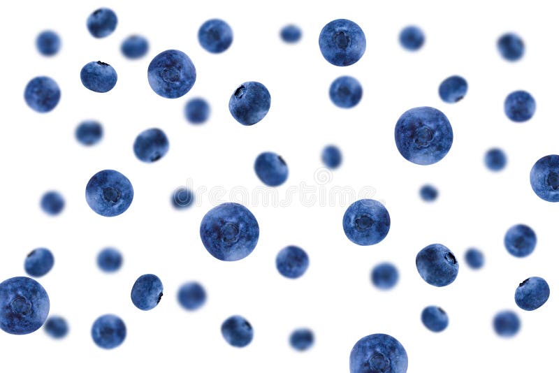 Falling Blueberries Isolated on a White Background with Clipping Path ...