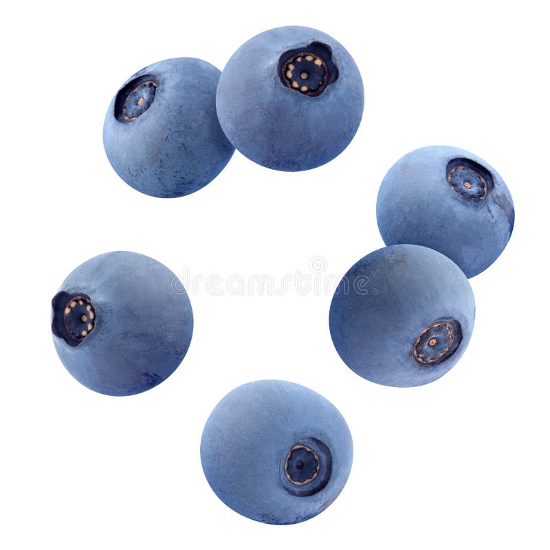 Falling Blueberries Isolated on White Background. Stock Photo - Image ...