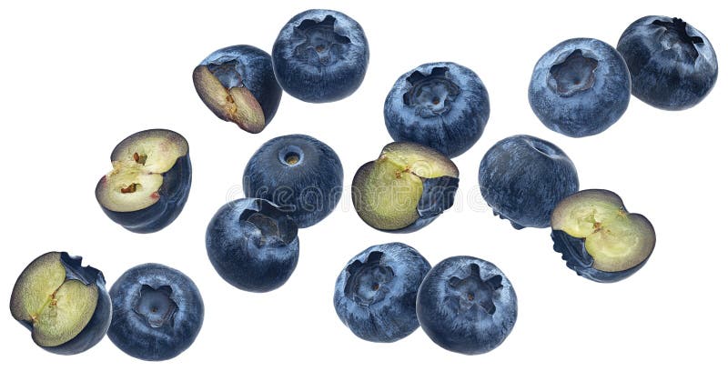 Falling Blueberries Isolated on White Background Stock Image - Image of ...