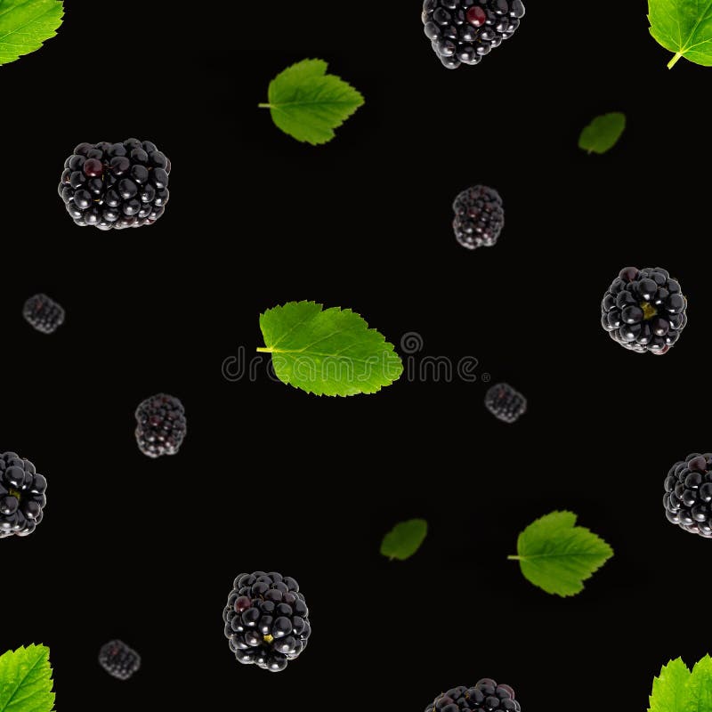 Falling Bramble Seamless Pattern. Fresh Falling Blackberry Seamless ...