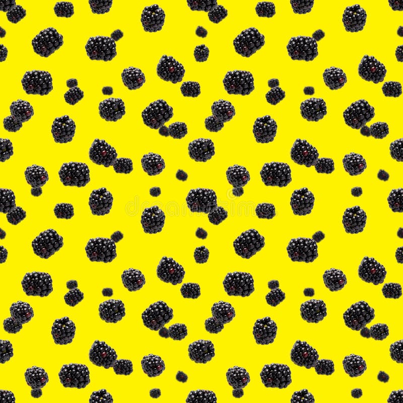 Blackberry, Wild Blackberry Complex, Shrubby Blackberry, European ...