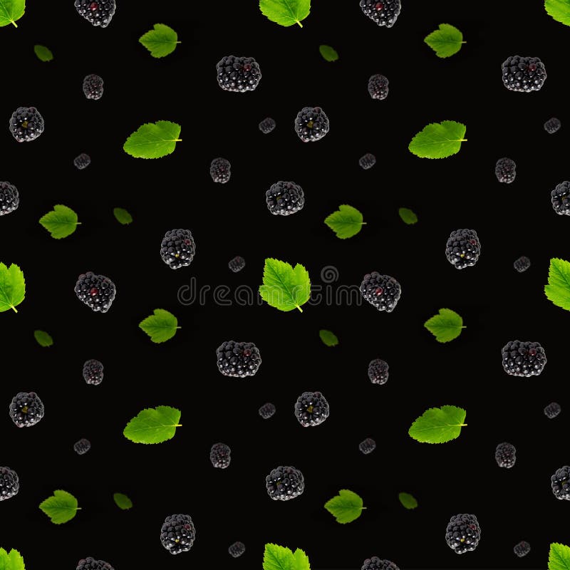 Blackberry, Wild Blackberry Complex, Shrubby Blackberry, European ...