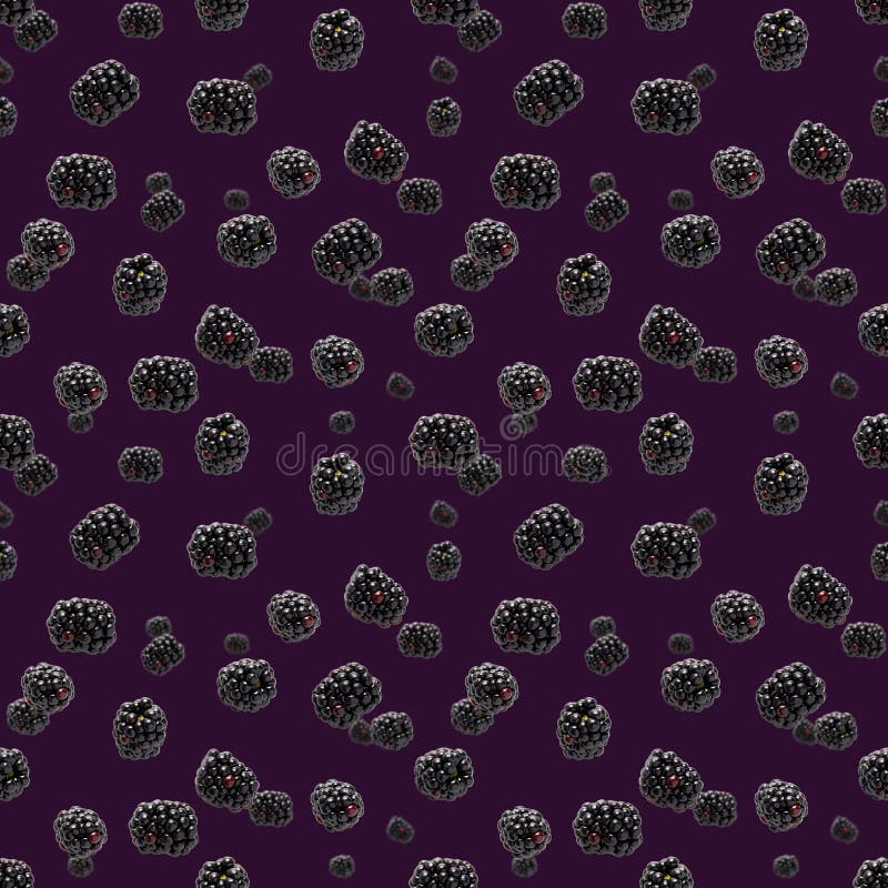 Blackberry, Wild Blackberry Complex, Shrubby Blackberry, European ...