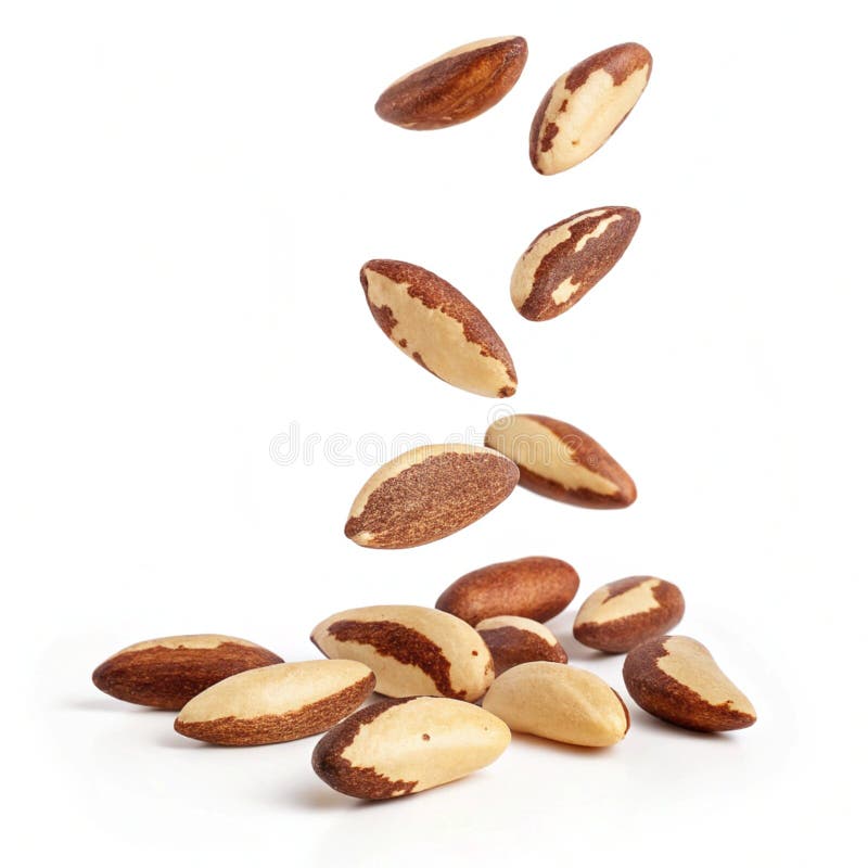 Falling Brazil Nuts Isolated on White Background Stock Illustration ...