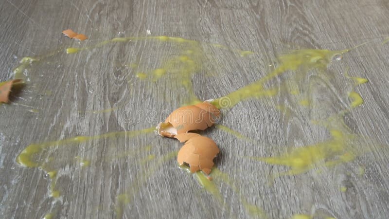 Egg Falling and Breaking on the Floor Stock Footage - Video of cracking ...