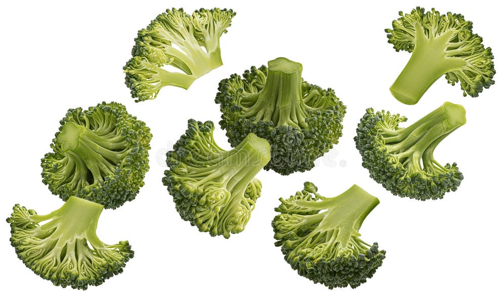 Falling Broccoli Isolated on White Background Stock Image - Image of ...