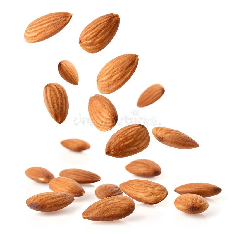 Falling Closed Almonds Isolated on White Background Stock Illustration ...