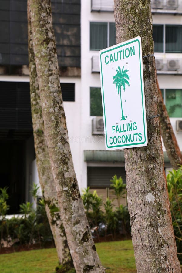Falling Coconuts Warning Sign in Malaysia Stock Image - Image of ...